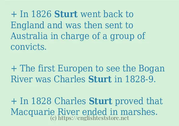 How to use in-sentence of "sturt" - EnglishTestStore Blog
