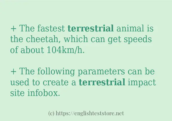 How to use in sentence of "terrestrial" - EnglishTestStore Blog