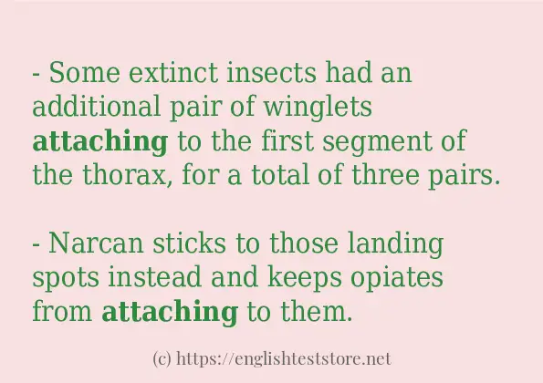"attaching" - some sentence examples - EnglishTestStore Blog