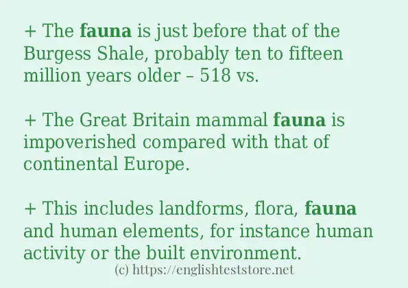 "fauna" how to use in sentences - EnglishTestStore Blog