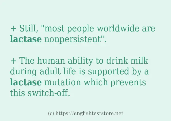 "lactase" how to use in sentences - EnglishTestStore Blog