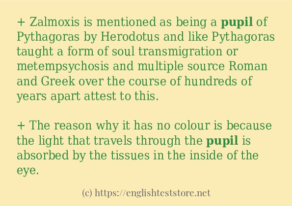 "pupil" some ways to use - EnglishTestStore Blog