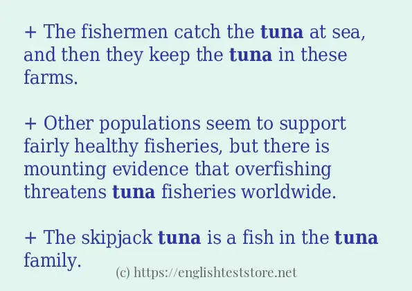 "tuna" how to use in sentences - EnglishTestStore Blog